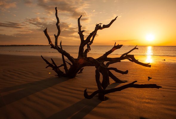 15 Things to Know Before Moving to Georgia - SmartAsset