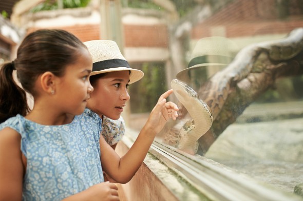 The Economics of Zoos - SmartAsset