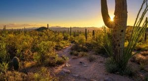 Cost of Living in Phoenix - SmartAsset