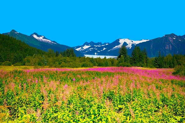 The True Cost of Living in Alaska - SmartAsset